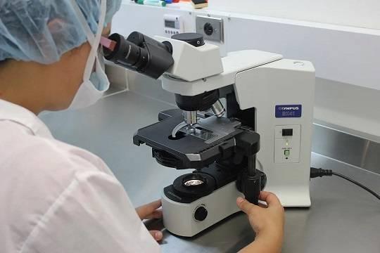 Названа решающая дата в определении распространения хантавируса
